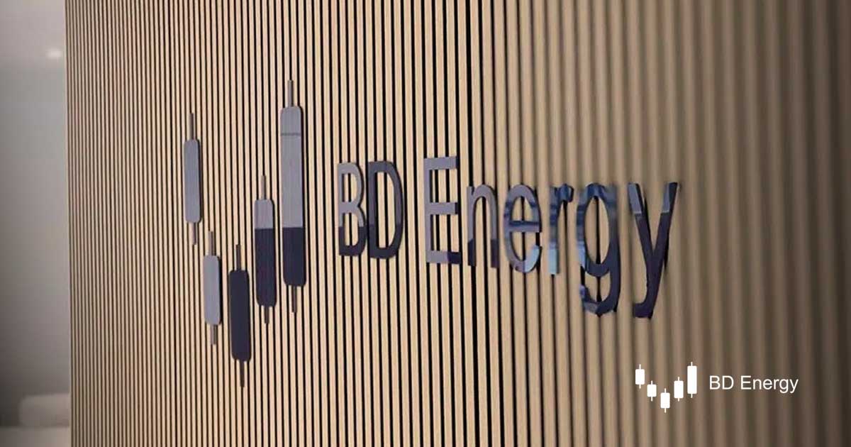 Our Team | BD Energy
